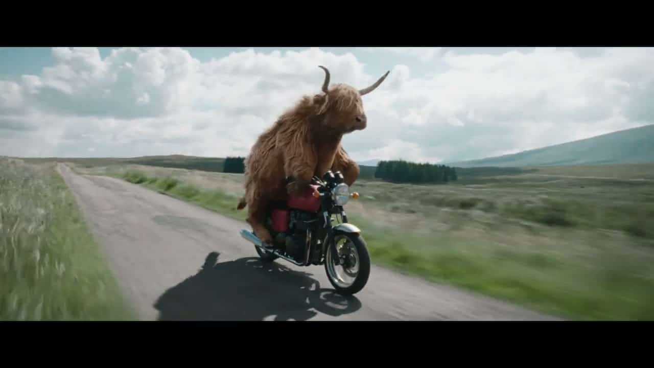 Virgin Media Advert Music - Cow Riding Motorbike